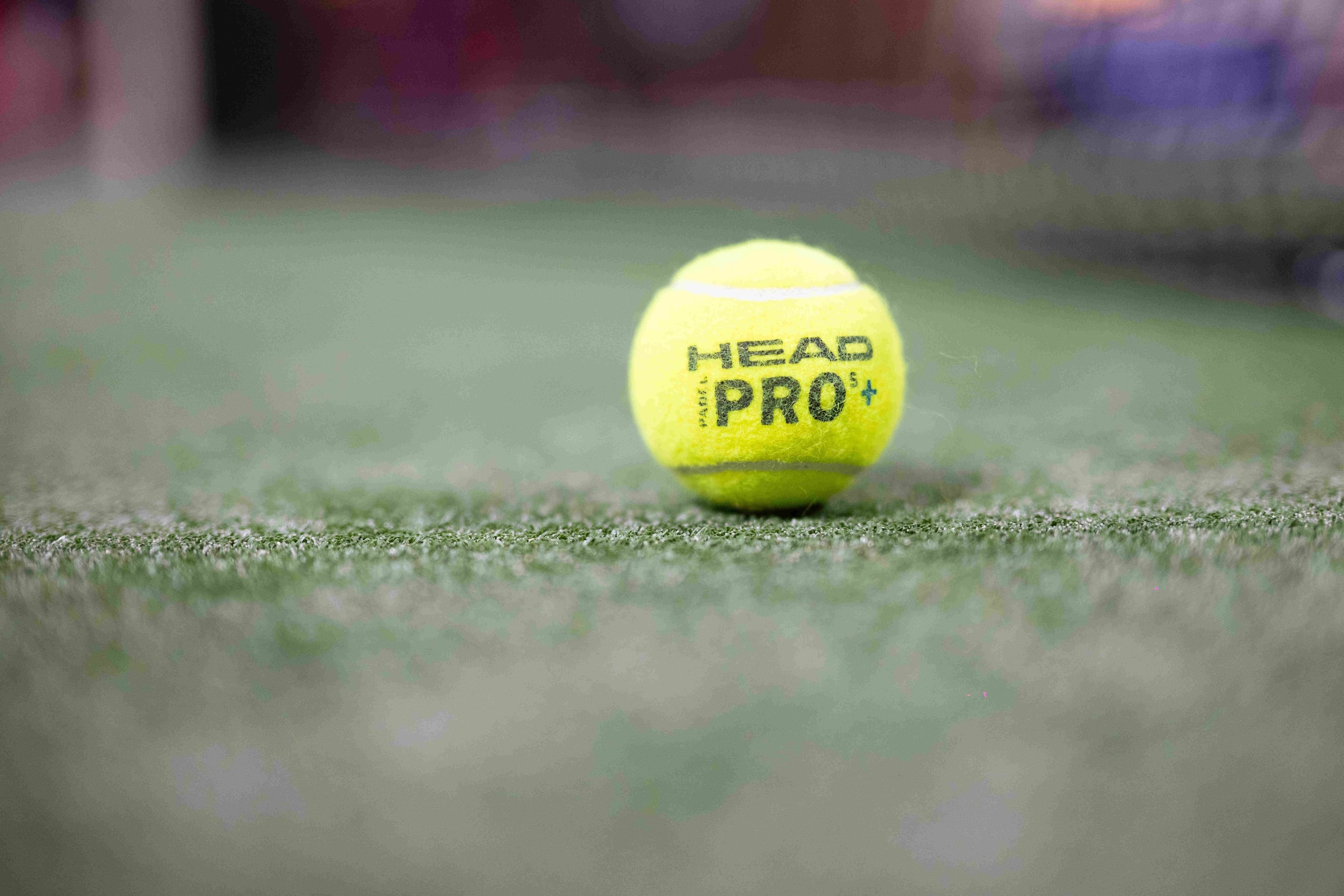 Padel 101: Everything You Need to Know Before Your First Game